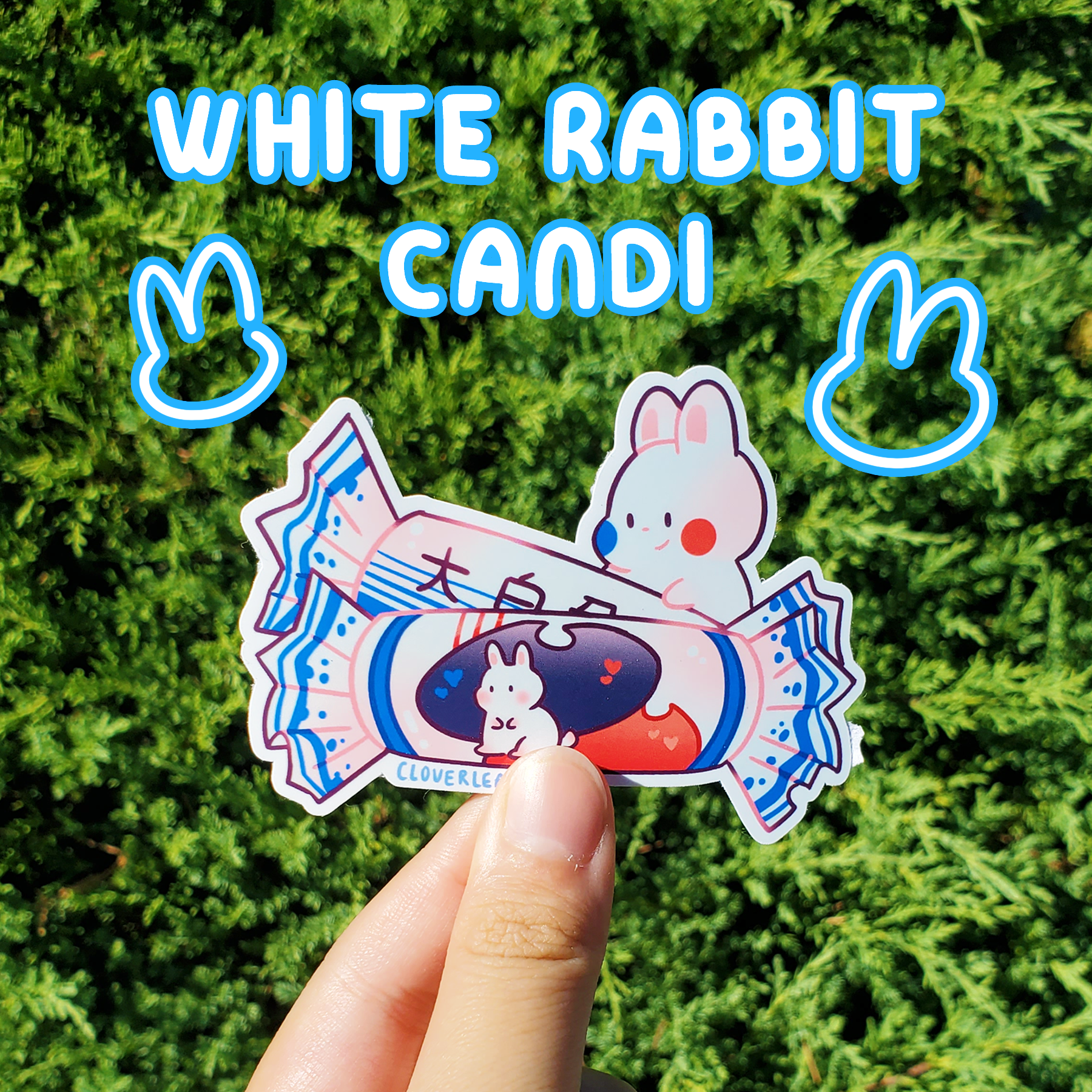 white rabbit candy drawing